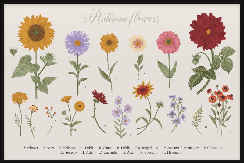 Pósters de Flores | Optimalprint